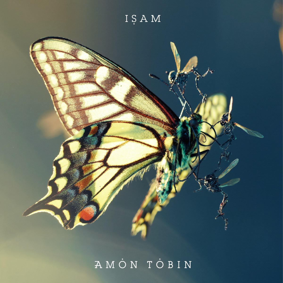 Amon Tobin: ISAM (pt. 2) | Two Matts